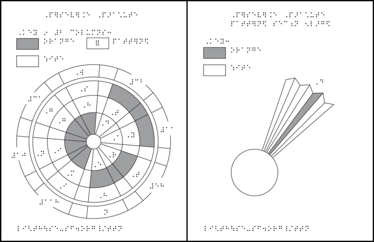 What was that secret code on NASA's Mars Perseverance Parachute ...